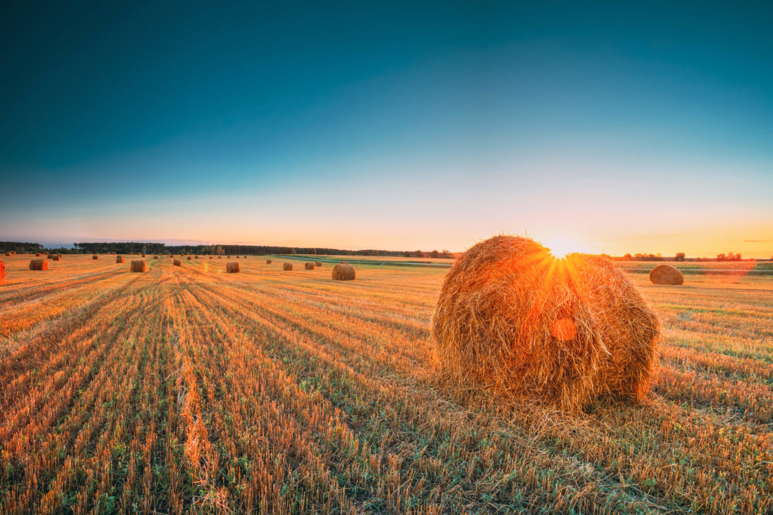 Beste Reisezeit: Die Top 10 Tipps für die besten Reiseziele im August